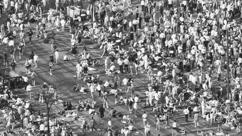 The Relationship Between Immigration and National Security